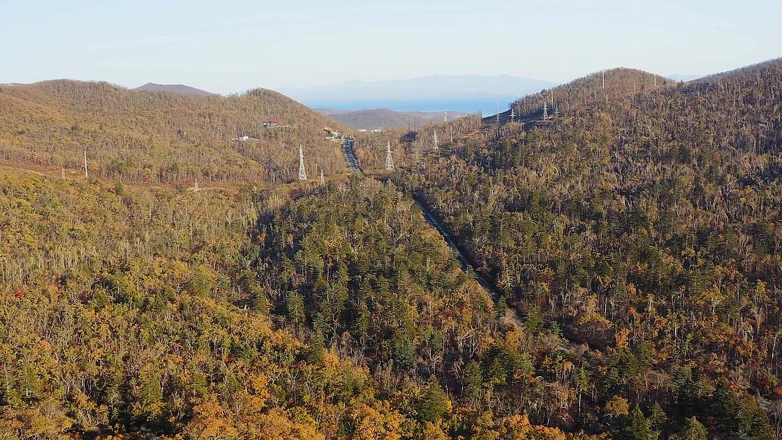 How to Classify Power Lines and Detect Vegetation Encroachment